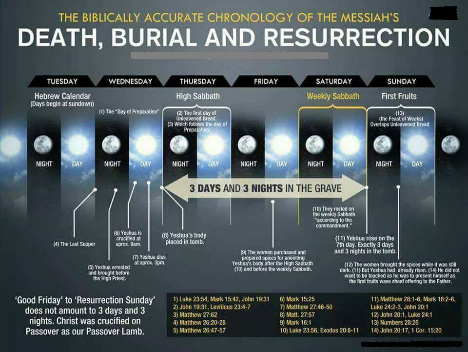 Study Series 8 Lesson 1: Leviticus 23 – God’s Festal Calendar (Spring ...